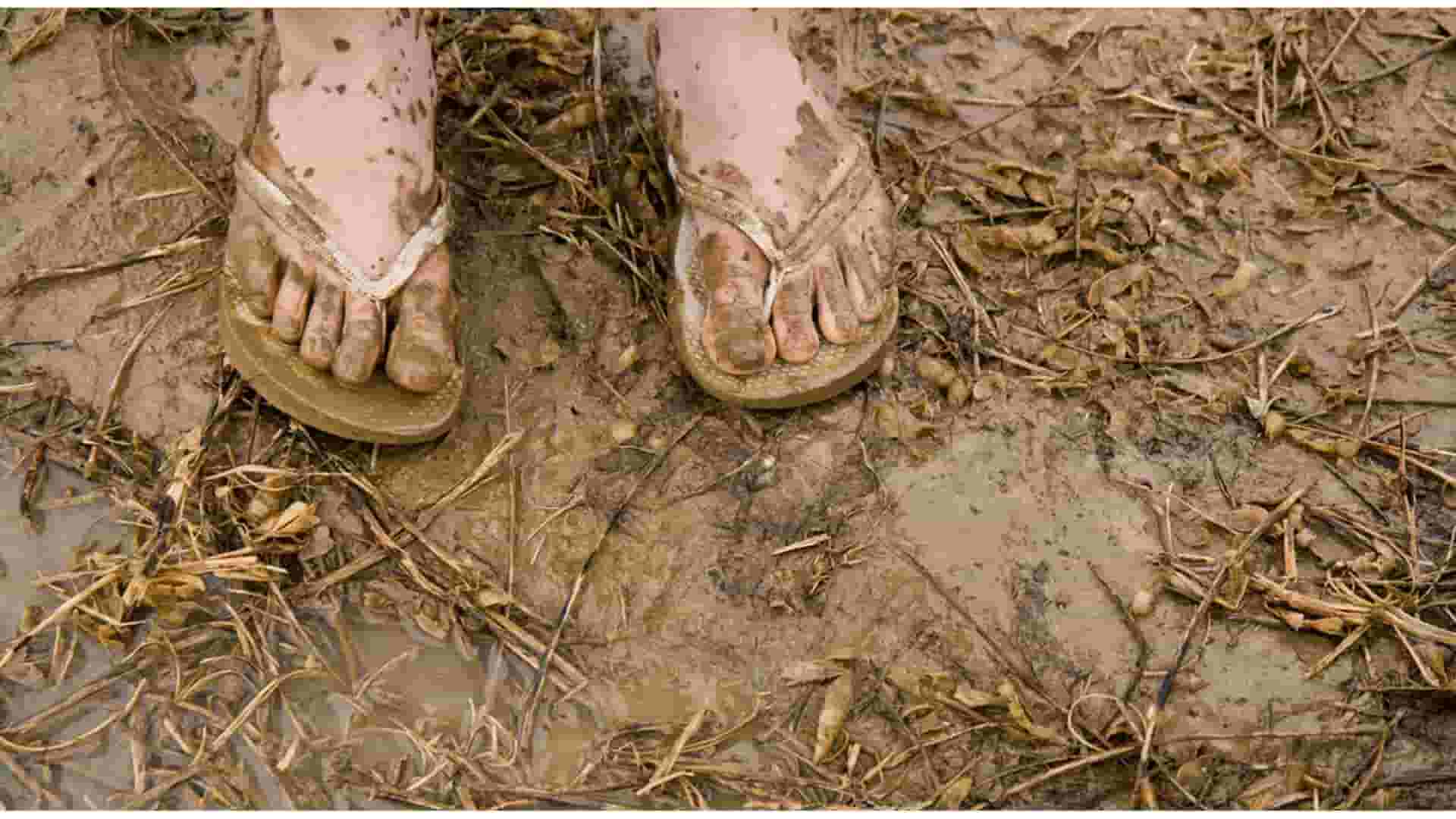 22 Mai : Humilie-toi sous ma puissante main (Méditation) - Renouveau ...
